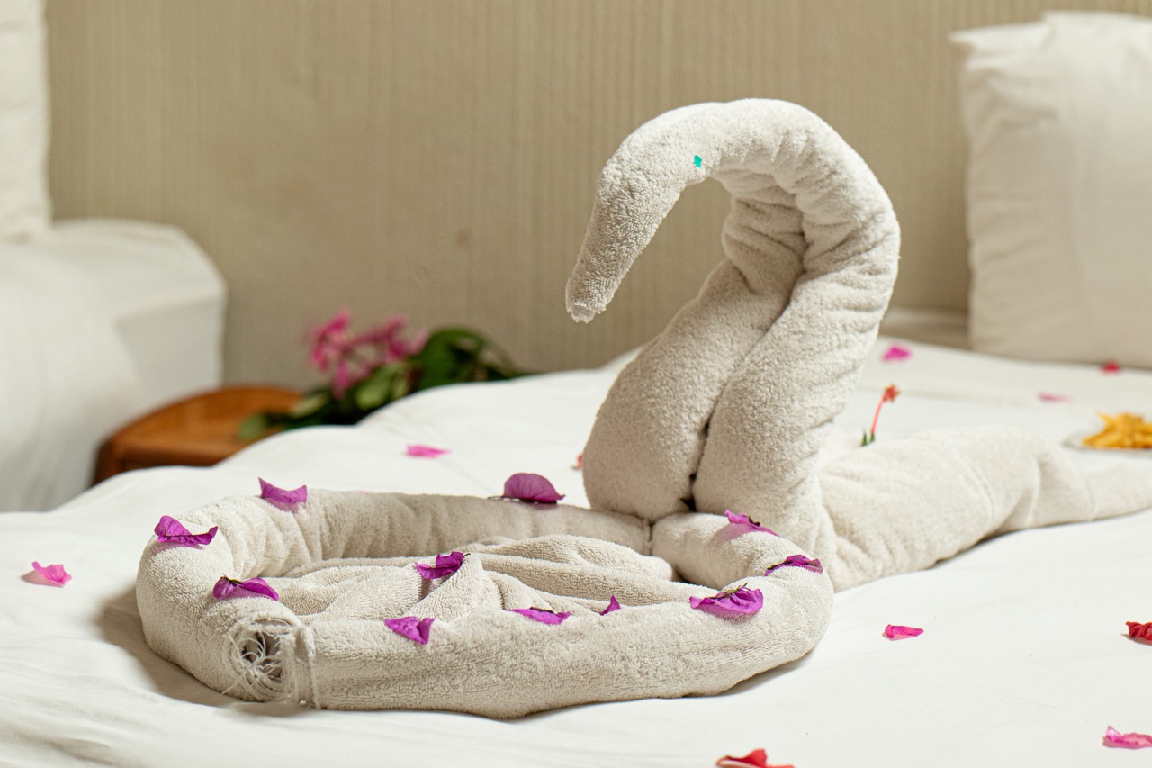 Promotions - Ananda Lodge